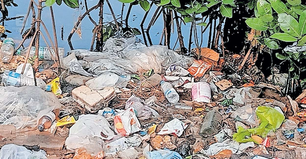 ഒഴിയാതെ മാലിന്യം; കുയ്യാലിപ്പുഴ മാലിന്യം കൊണ്ട് നിറയുന്നു | Waste ...