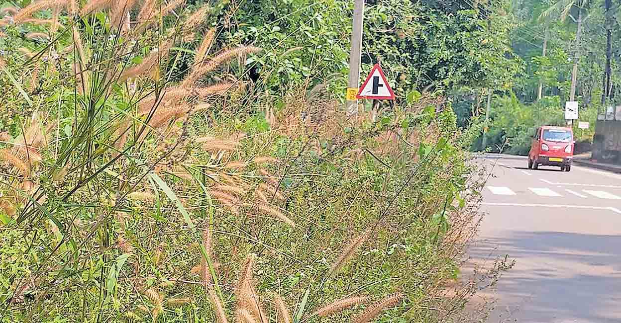 റോഡ് നവീകരണം ആറു വർഷമായിട്ടും പൂർത്തിയായില്ല; പ്രഖ്യാപനത്തിൽ ഒതുക്കും ...