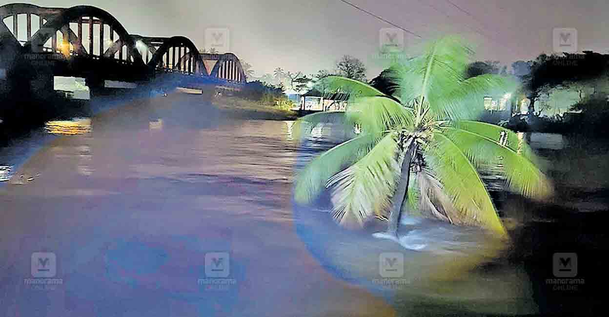 മണ്ണിട്ടു നികത്തി; കുപ്പം പുഴ കലിതുള്ളി കരയിൽ: തെങ്ങുകളും കമുകുകളും ...