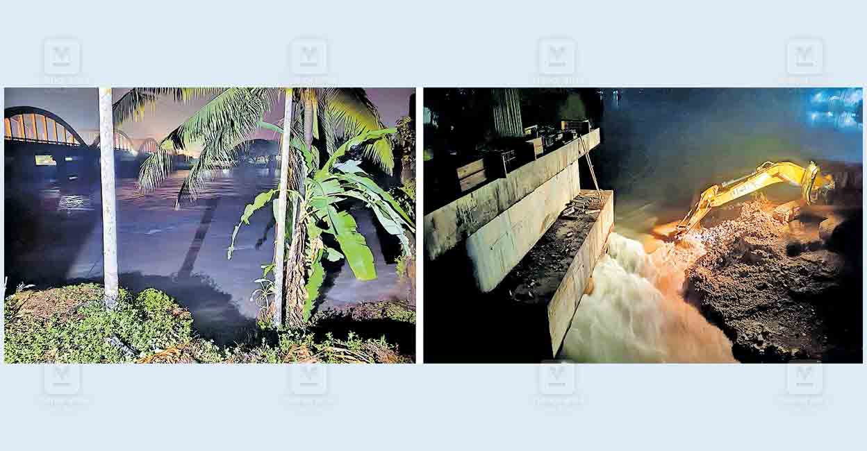 മണ്ണിട്ടു നികത്തി; കുപ്പം പുഴ കലിതുള്ളി കരയിൽ: തെങ്ങുകളും കമുകുകളും ...
