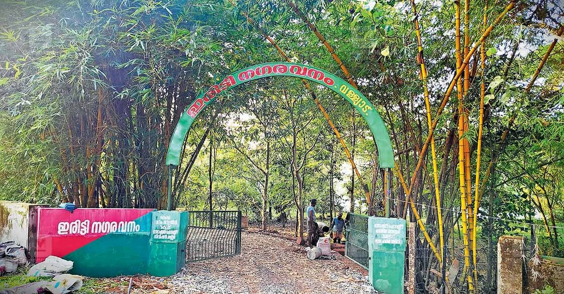 ഇനി ഹരിതഭംഗി ആസ്വദിക്കാം, ഇരിട്ടി നഗരവനത്തിൽ; പൊതുജനങ്ങൾക്കായി തുറന്നുന ...
