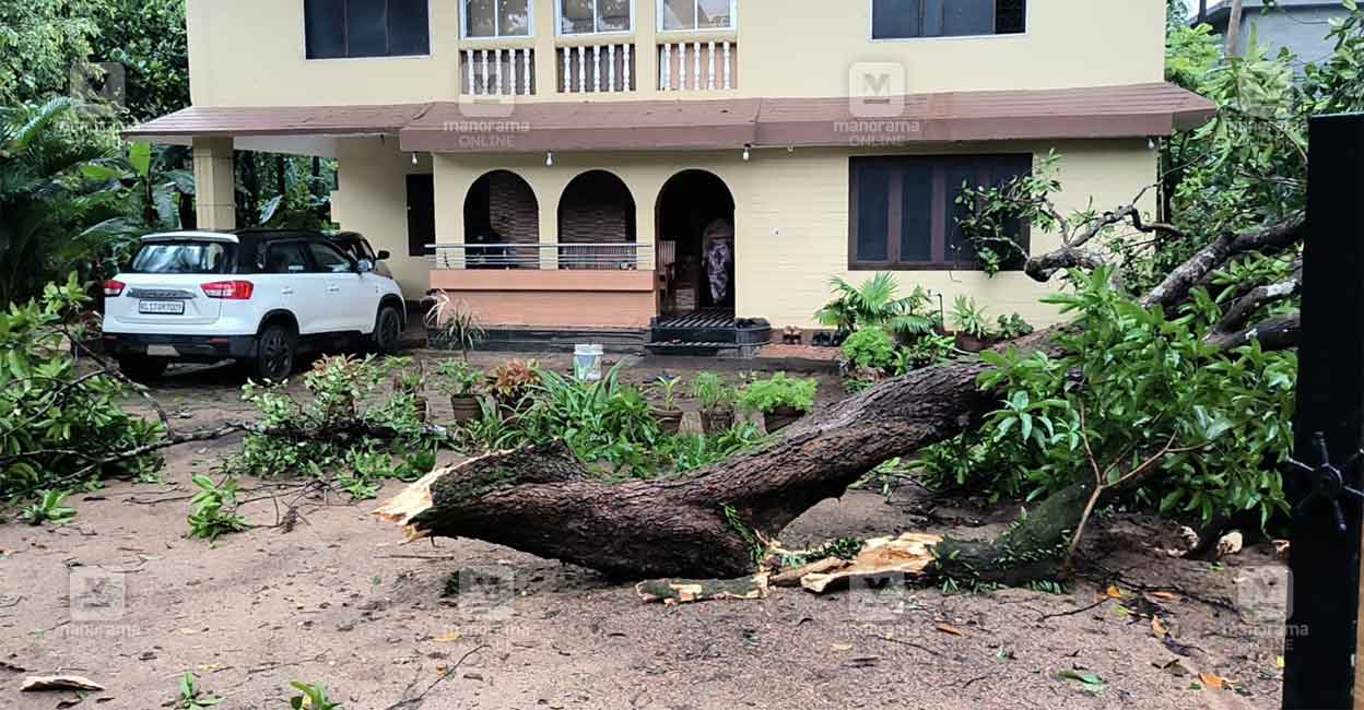 കണ്ണൂർ ജില്ലയിൽ രാത്രി ശക്തമായ കാറ്റ്; വെങ്ങര റെയിൽവേ ഗേറ്റിന് സമീപം ...