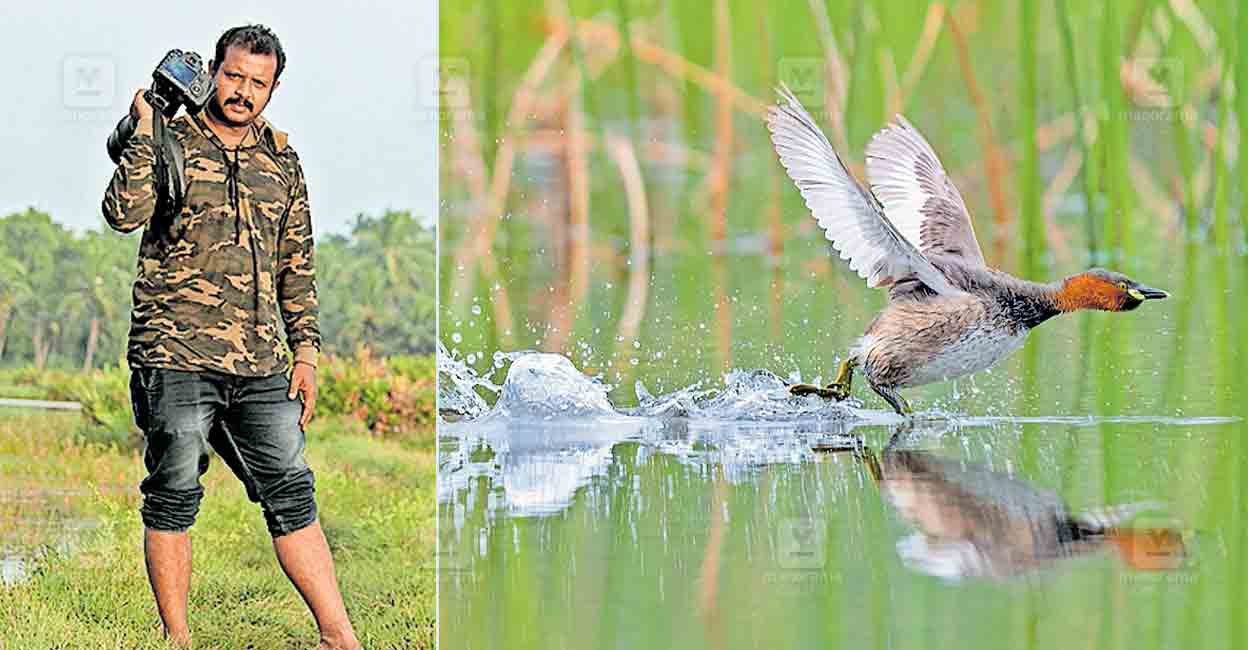 പക്ഷികളുടെ കാവൽക്കാരൻ; ദേശാടനപ്പക്ഷികളെ കാത്ത് ക്യാമറയുമായി അഭിലാഷ് ...
