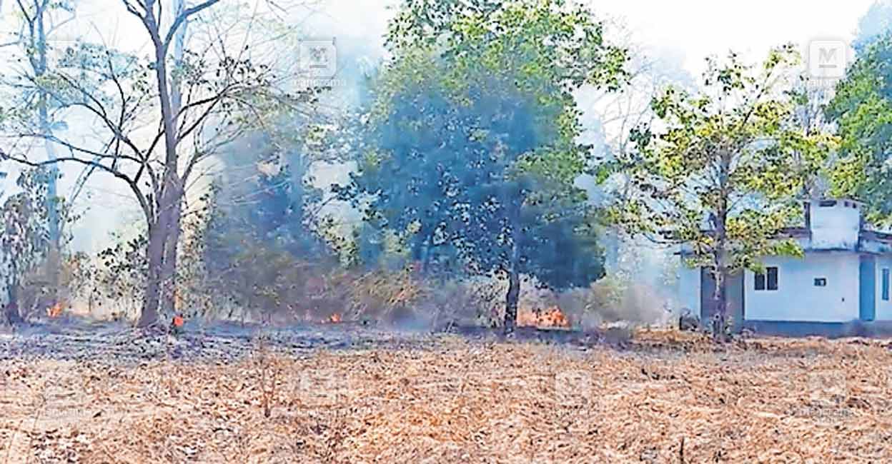 ആറളം ഫാം പുനരധിവാസ മേഖലയിൽ വീണ്ടും വൻ തീപിടിത്തം; 5 ഏക്കർ കത്തിനശിച്ചു ...