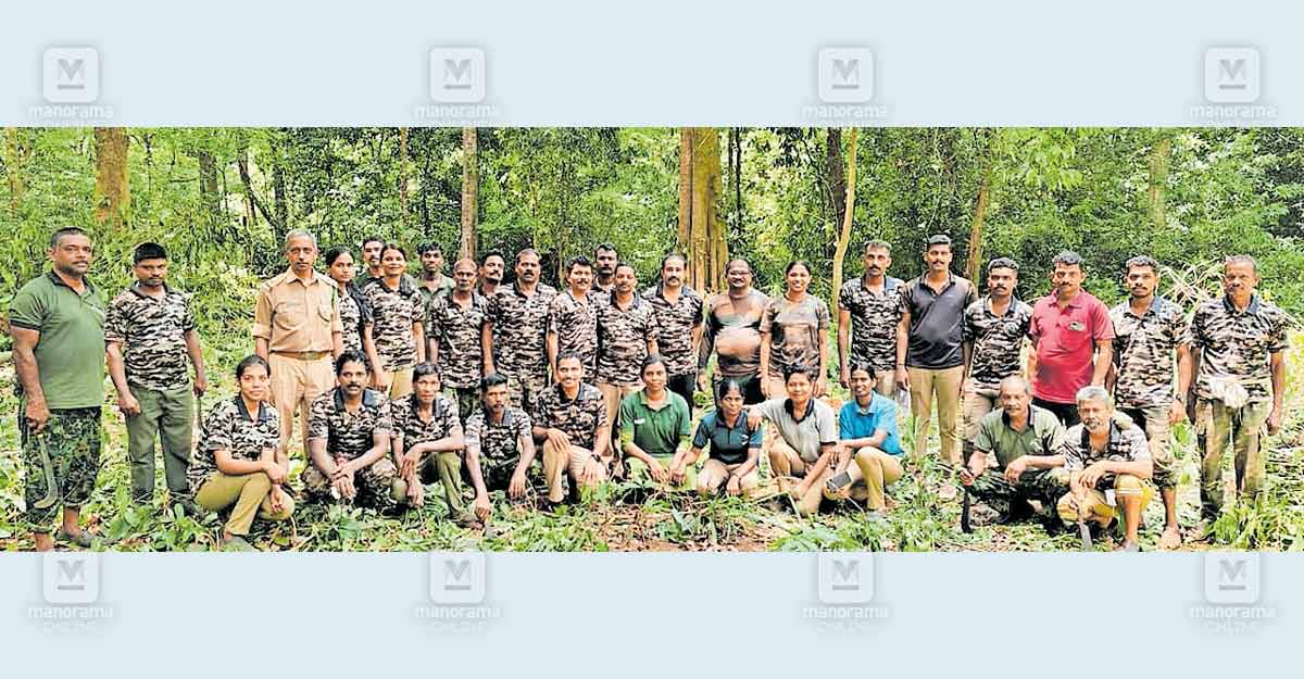 ഇനി നാട്ടിലേക്ക് വരേണ്ട; എല്ലാം കാട്ടിൽ സജ്ജം | Iritty | human-wildlife ...