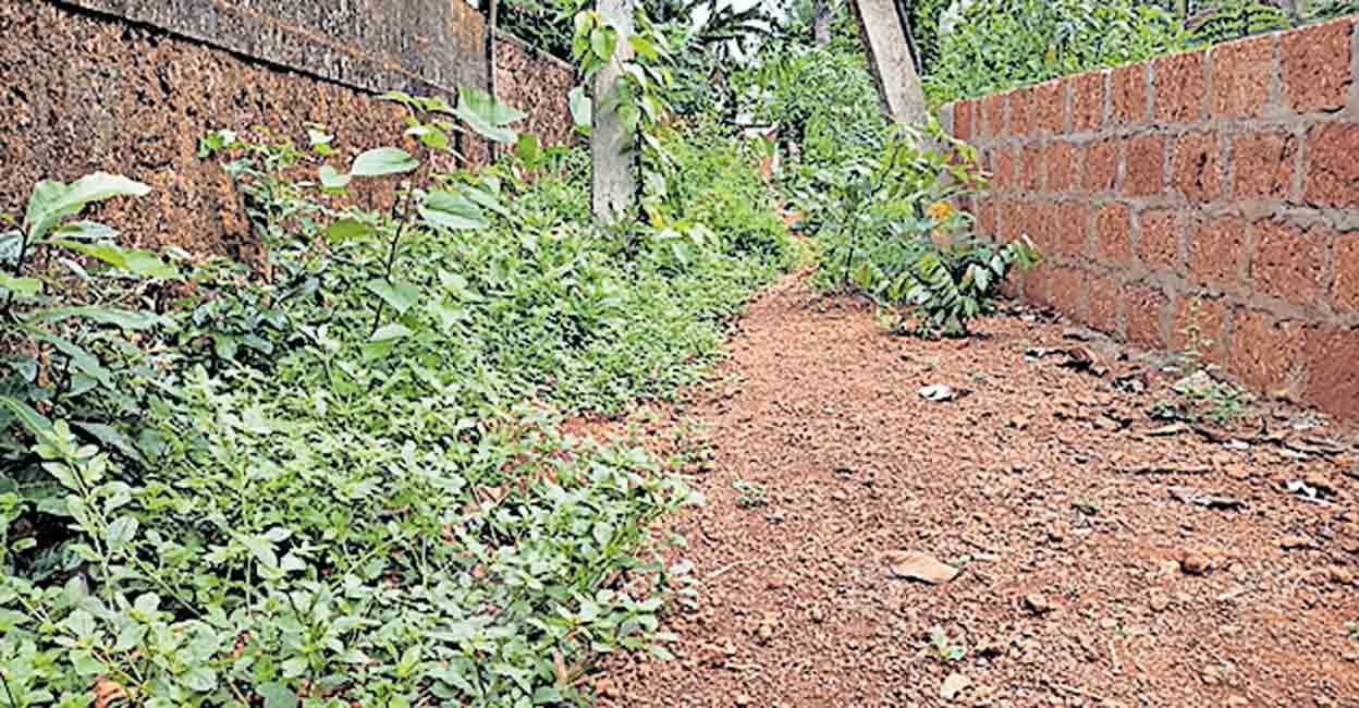 വഴിമുടക്കിയായി വൈദ്യുതത്തൂണുകൾ | Thottada | Thottada Govt ITI | Chala ...