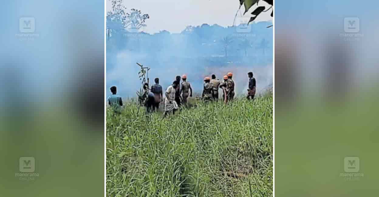 വയലിലെ അടിക്കാടിന് തീപിടിച്ചു | Valiyannoor | Vayalpalam | Munderimotta ...