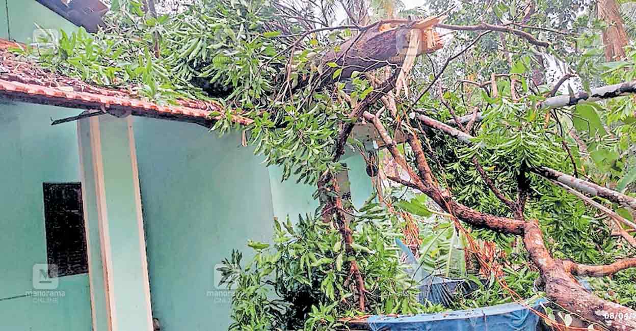 വേനൽമഴയ്ക്കൊപ്പം നാശംവിതച്ച് കാറ്റും; മരങ്ങൾവീണ് കെട്ടിടങ്ങൾ തകർന്നു ...