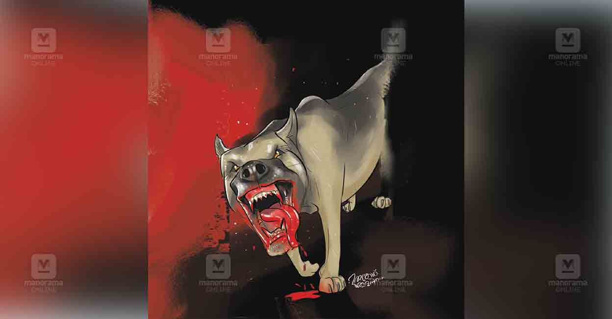 കോഴിക്കോട് 19 പേരെ കടിച്ച തെരുവുനായയ്ക്കു പേ വിഷബാധ | മനോരമ ഓൺലൈ ...