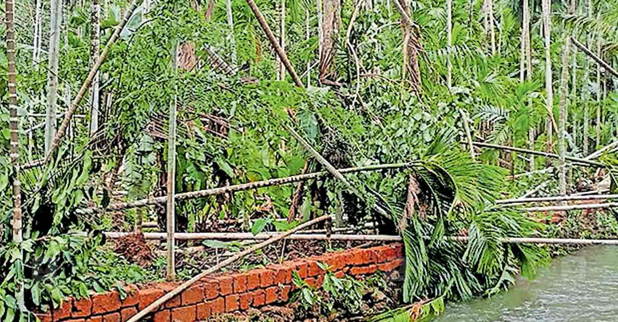 കനത്ത മഴയും കൊടുങ്കാറ്റും; മലയോര മേഖലയിൽ വൻനാശം | Aravanchal ...