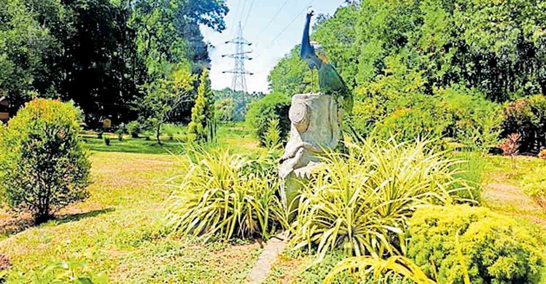 സഞ്ചാരികൾക്ക് നവ്യാനുഭവമായി പെരുമ്പറമ്പ് ഇക്കോ പാർക്ക് | Iritty Eco ...