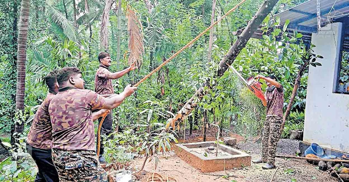 ദുരിതത്തിന് അറുതിയില്ല; ആറളത്ത് വീടിനു മുകളിൽ മരം മറിച്ചിട്ടു കാട്ടാന ...