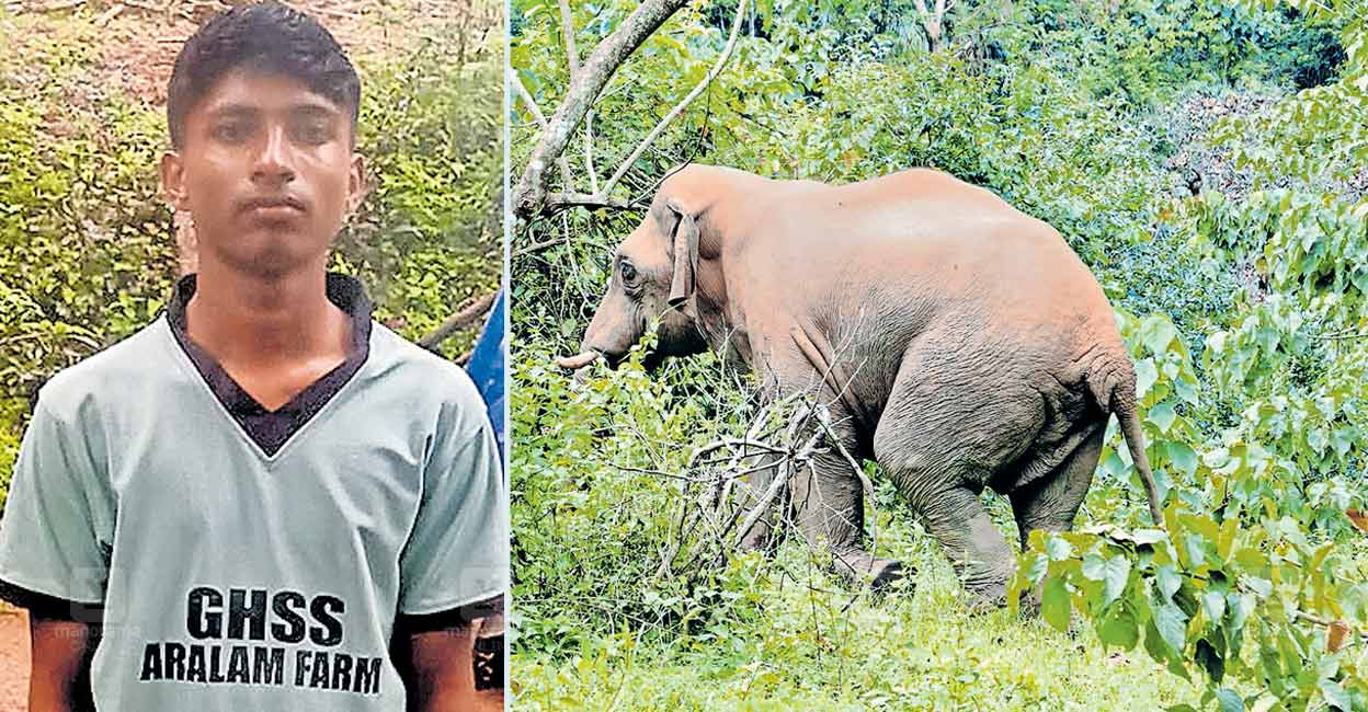 ആറളത്ത് തുരത്തിയിട്ടും തീരാതെ ആനക്കലി; വിദ്യാർഥി രക്ഷപ്പെട്ടത് ...