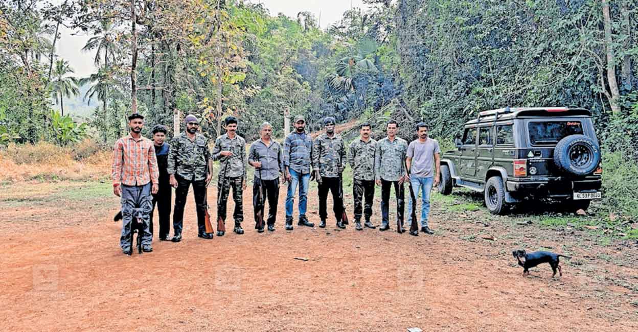 മലപ്പട്ടത്ത് കാട്ടുപന്നികളെ കൊല്ലാൻ ഷൂട്ടർമാരെത്തി | Wild pig attack ...