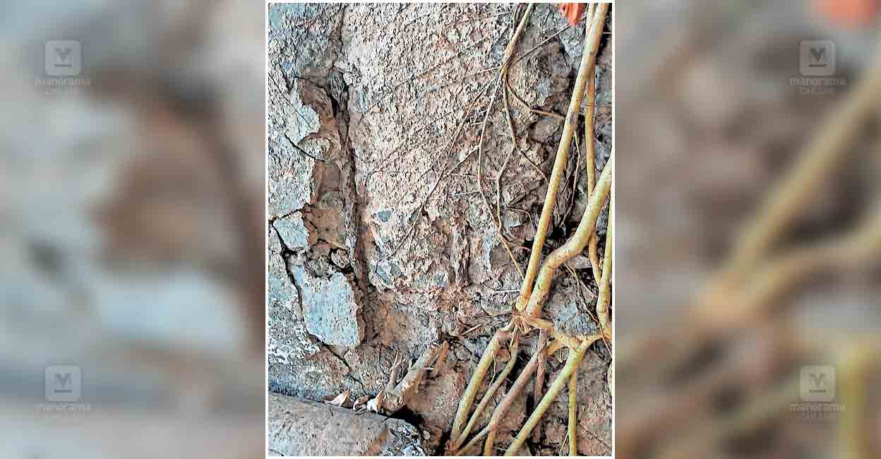 എന്നു ‘കരകയറും’ ഈ പാലം? ചപ്പാരപ്പടവ് പാലം പുനരുദ്ധരിക്കാനുള്ള നടപടി ...