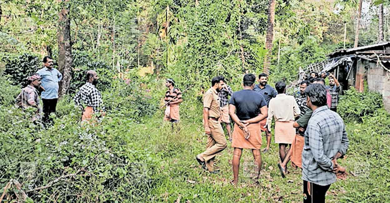 കുണ്ടുപ്പള്ളിയിൽ കാട്ടാന വീണ്ടും കൃഷിനശിപ്പിച്ചു | elephant raid ...