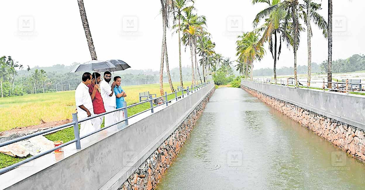 കൊടക്കവയൽ വിളിക്കുന്നു..; വയൽക്കാറ്റ് കൊണ്ടും മീൻപിടിച്ചും കഥ പറഞ്ഞ് ...