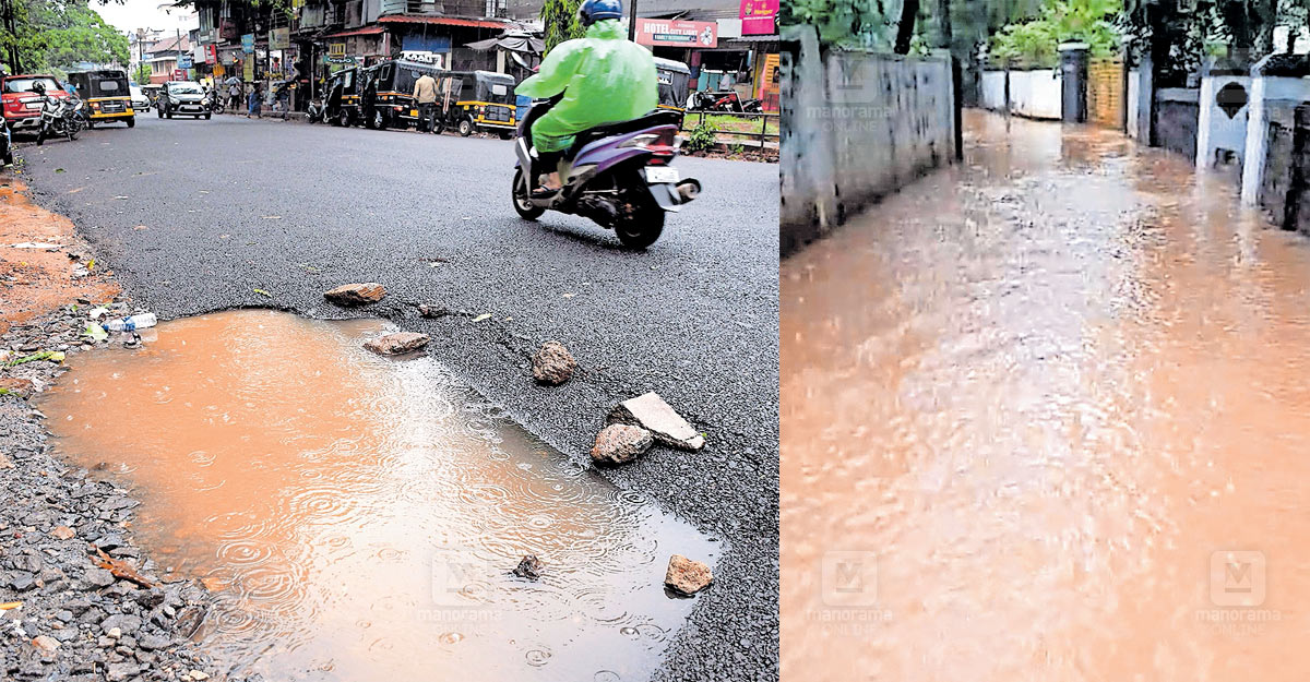 മഴ, കാറ്റ്: കാസർകോട്, മഞ്ചേശ്വരം താലൂക്കിന്റെ വിവിധഭാഗങ്ങിൽ വ്യാപകനാശം ...