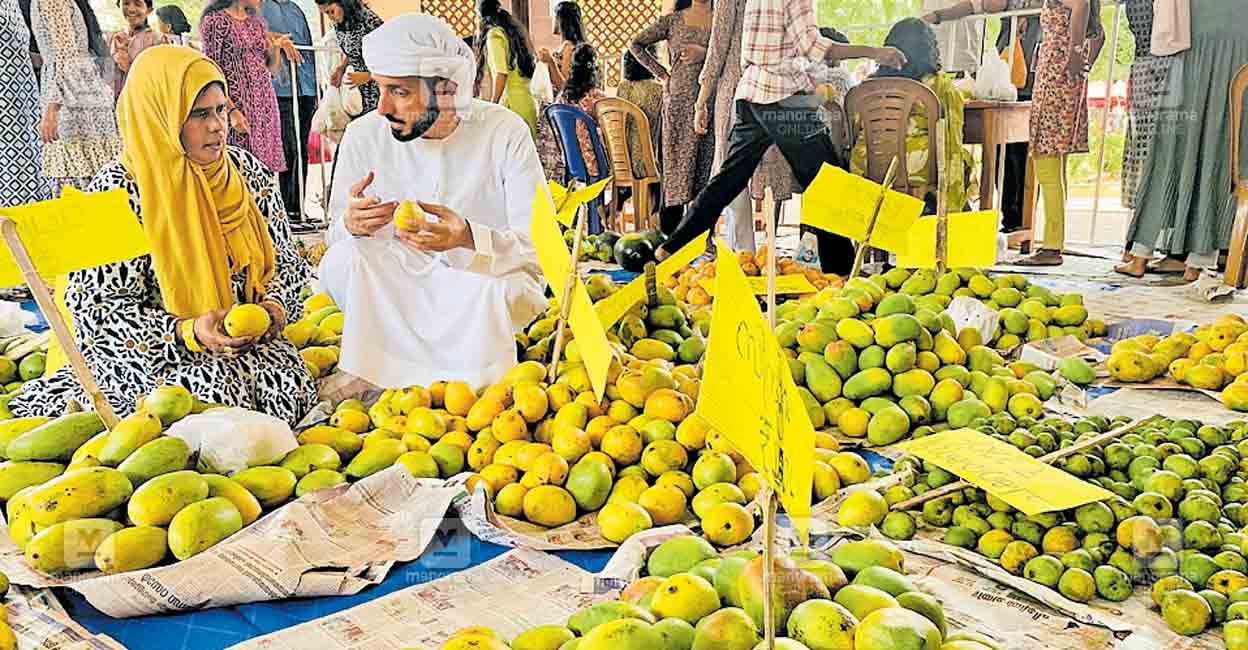 പടന്നക്കാടിന്റെ മാമ്പഴമധുരം രുചിക്കാൻ കടൽ കടന്നെത്തി അതിഥിക ...
