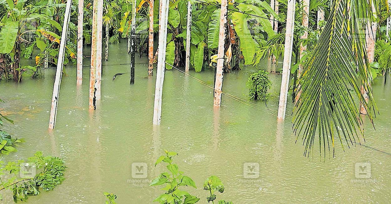 കാഞ്ഞങ്ങാട് നഗരമടക്കം വെള്ളത്തിൽ മുങ്ങി; വീടുകളിലേക്ക് വെള്ളം ...