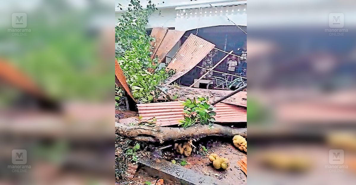ശക്തമായ കാറ്റിൽ വ്യാപക നാശനഷ്ടം | Rajapuram | Kerala | Landslide | Rain ...