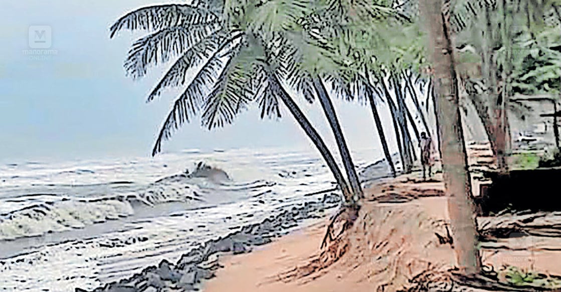 കടൽക്ഷോഭം; തെങ്ങുകൾ കടലെടുത്തു | Kerala coast erosion | Kudalkshobham ...