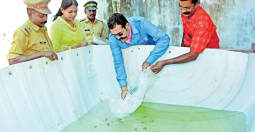 സ്പെഷൽ സബ് ജയിലിൽ കരിമീൻ കൃഷി തുടങ്ങി