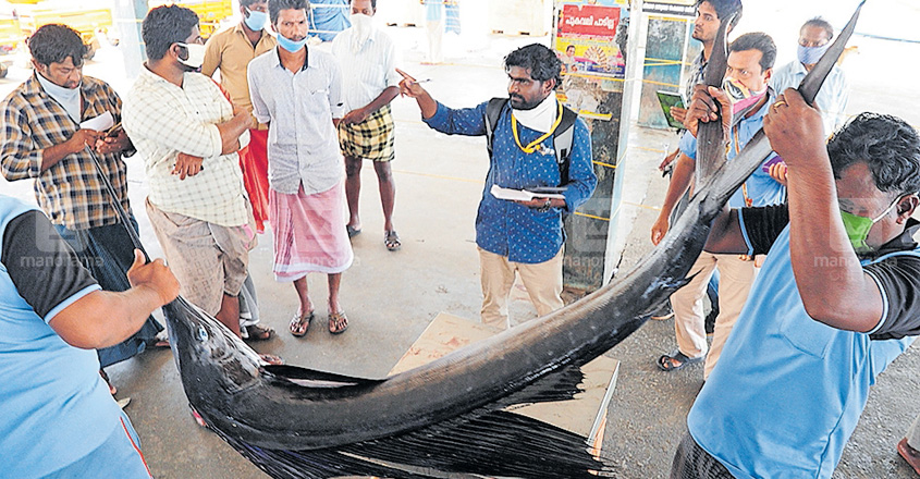 ഉൾനാടൻ മത്സ്യബന്ധനത്തിന് നിബന്ധനകളോടെ അനുമതി