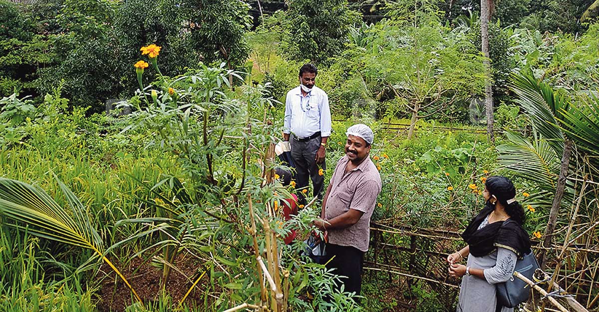 തെങ്ങിൻ തൈകളും ഔഷധച്ചെടികളും നിറഞ്ഞ ഒരേക്കർ; ആരെയും ആകർഷിക്കും ...