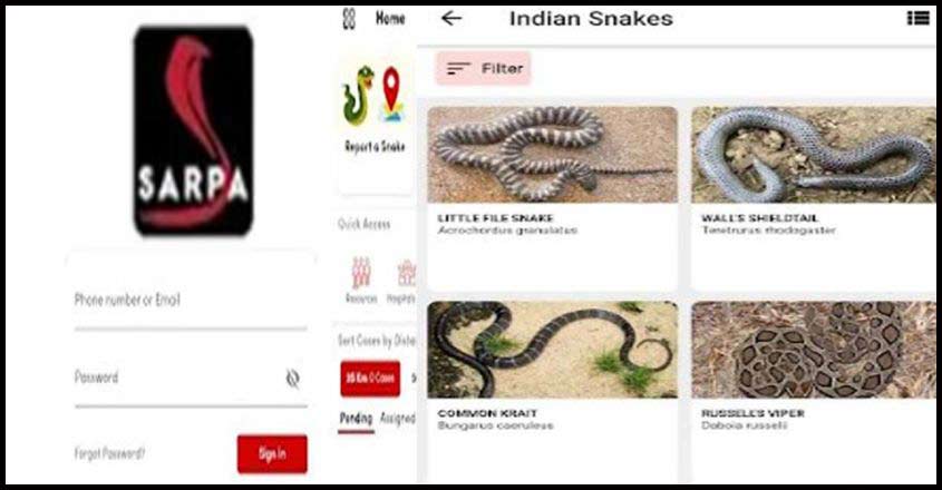 പാമ്പാണ്, പാവമാണ് ! കണ്ടാൽ കൊല്ലരുത്, സർപ്പ ആപ് വഴി വനംവകുപ്പിനെ അറിയിക്കാം