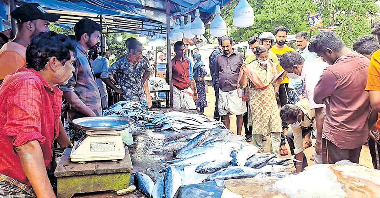 അയല, കിളിമീൻ, മങ്കട ; 60 കിലോ പഴകിയ മത്സ്യം കണ്ടെടുത്തു