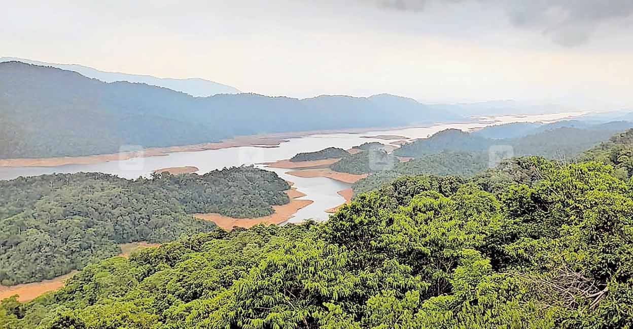 റോസ്മല സഫാരി ആദ്യദിനം തന്നെ സൂപ്പർ ഹിറ്റ്, വനയാത്രയിൽ മതിവരാതെ സഞ്ചാരികൾ
