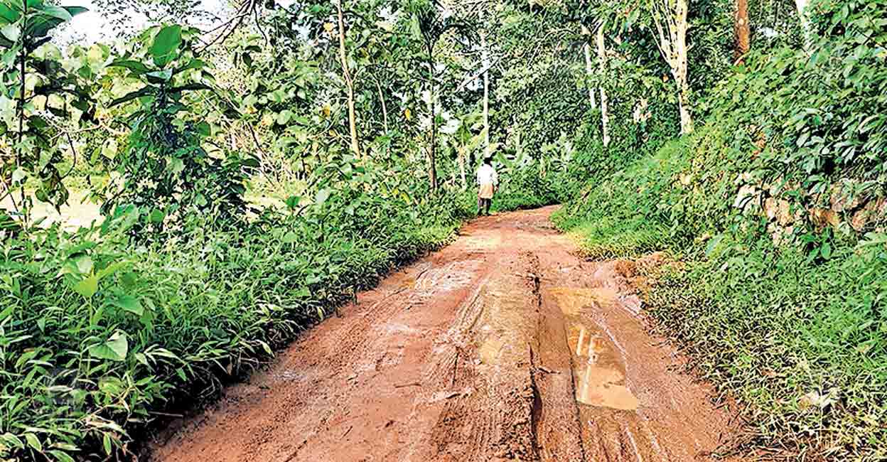 എസ്എൻപുരം വാർഡിലെ പുന്തലക്കോട്-പാലക്കോട് റോഡിൽ ദുരിതയാത്ര ...