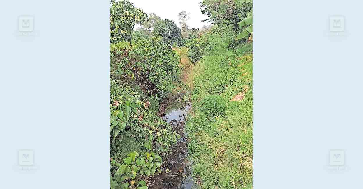 ഇക്കുറി(യും) ശുചീകരണം മുടങ്ങിയേക്കും | Kallada Irrigation Project | KIP ...