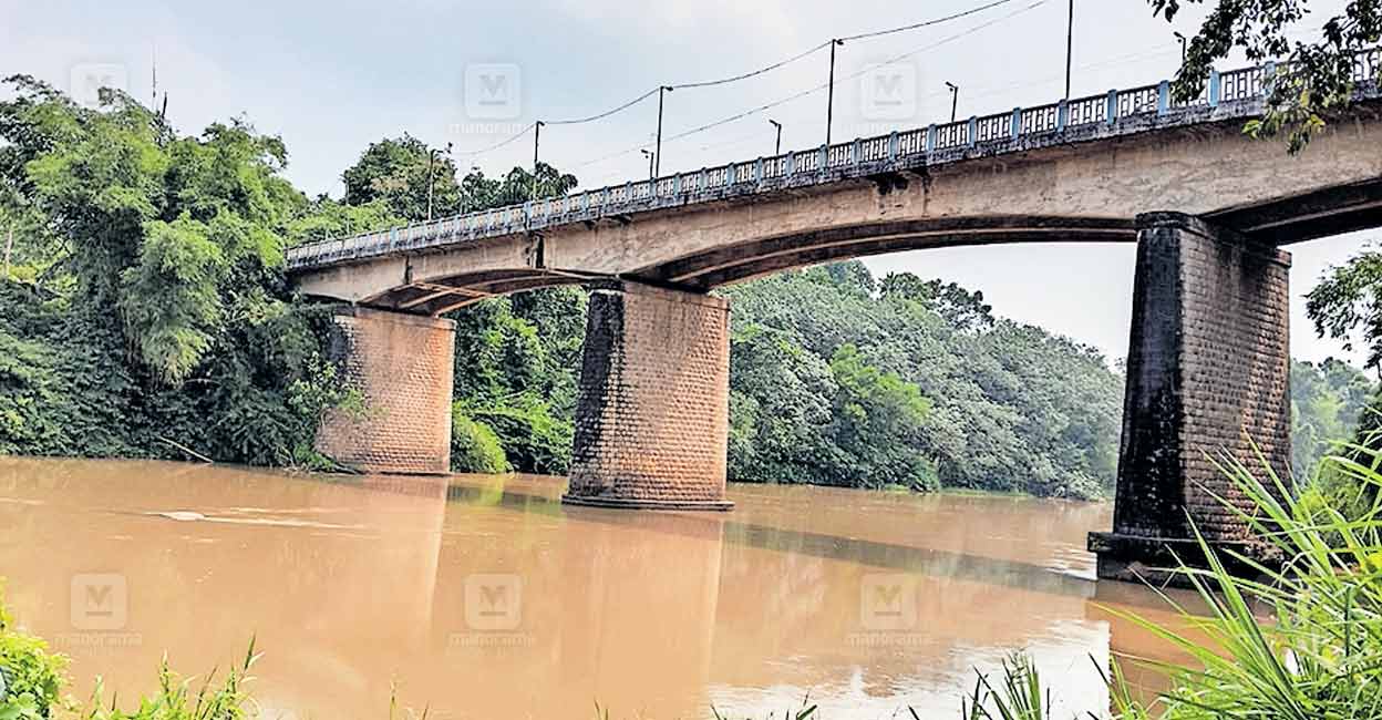 പാലങ്ങളിലെ സുരക്ഷ: കമ്പിവല സ്ഥാപിക്കൽ പദ്ധതി പാഴായി | bridge safety ...