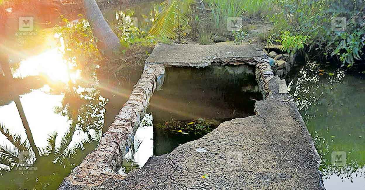 നടപ്പാലം തകർന്നു: തോട്ടിൽ വീണ് വിദേശ വനിതകളടക്കം 4 പേർക്ക് പരുക്ക് ...