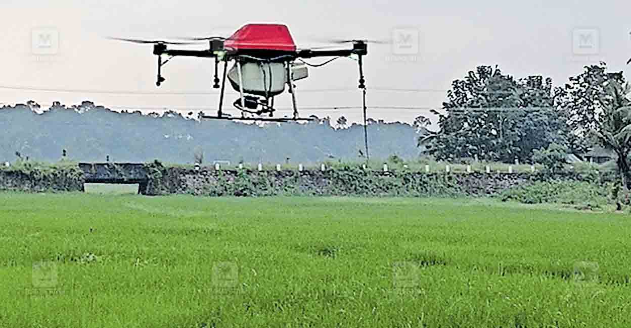 ഒരേക്കറിൽ വളപ്രയോഗത്തിന് 7മിനിറ്റ്, നെൽക്കർഷകർക്കു തുണയായി ഡ്രോ ...