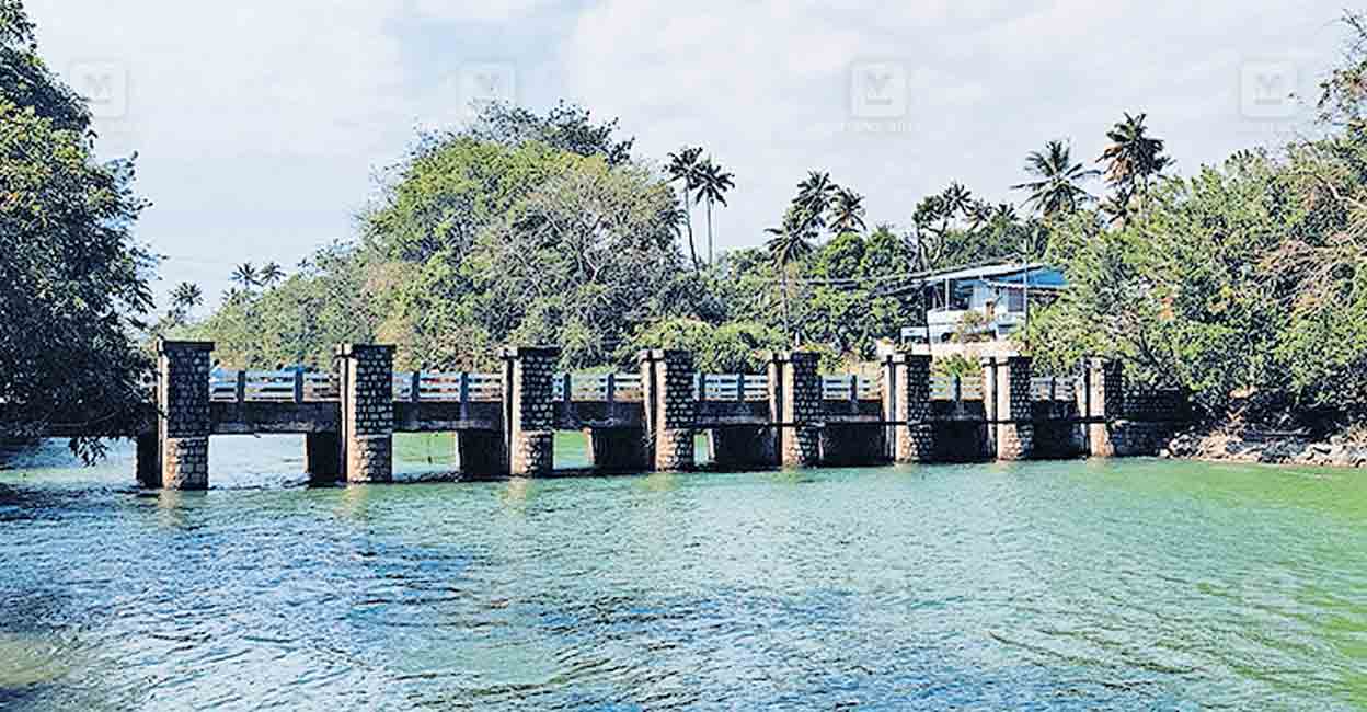 പൊഴിക്കര റഗുലേറ്ററിന്റെ ഷട്ടറുകൾ പുനഃസ്ഥാപിച്ചില്ല; കായൽത്തീരത്ത് ...