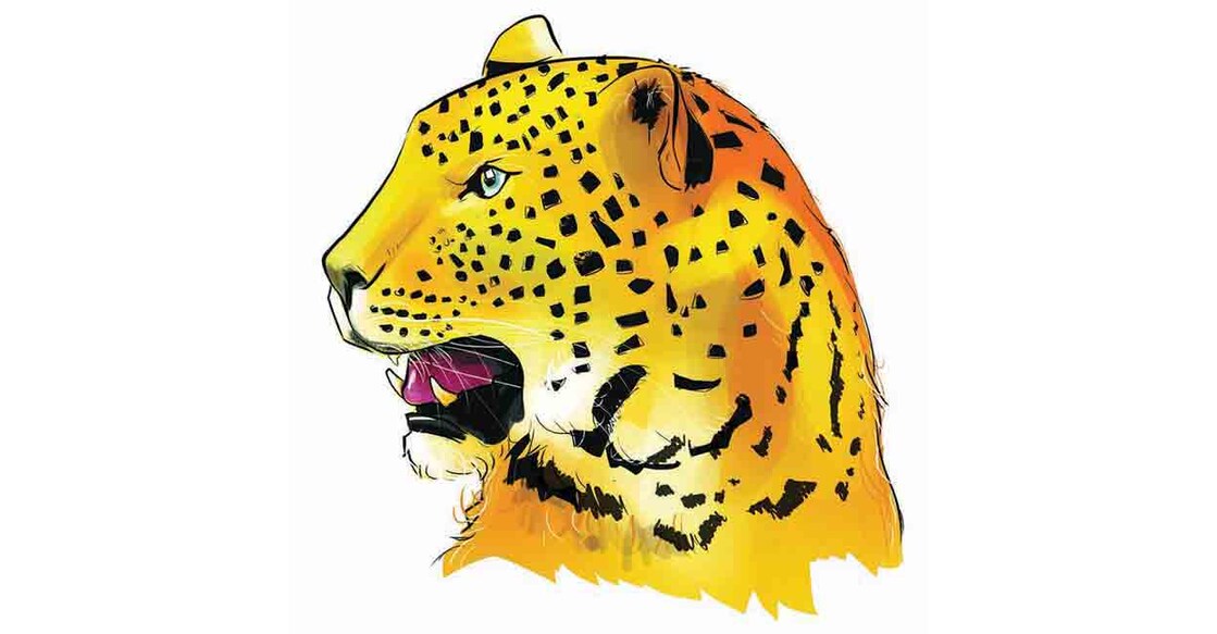 മൂന്നാർ ടൗണിന് സമീപം പുലിയിറങ്ങി; വനംവകുപ്പ് പരിശോധന തുടങ്ങി | Leopard ...