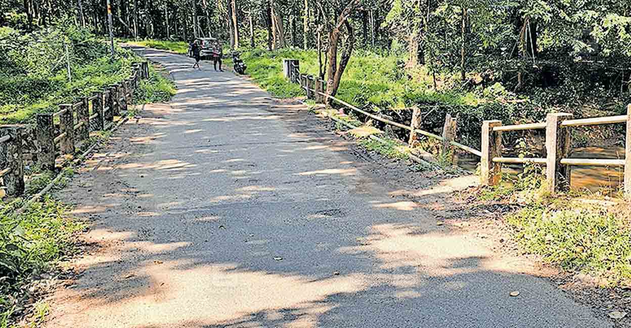 അമ്പതേക്കറിൽ ഇനി പുതിയ പാലം; 95 ലക്ഷം രൂപ അനുവദിച്ചു | Kullathoopuzha ...