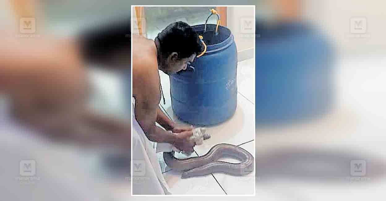 ഇരുതലമൂരി കള്ളക്കടത്ത് സംഘത്തെ വലയിലാക്കി വനം വകുപ്പ് | Kollam | Sand boa snake smuggling ...