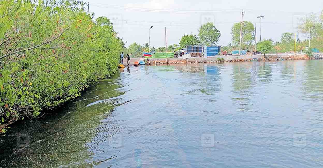 മൺറോത്തുരുത്തിൽ അതിശക്തമായ വേലിയേറ്റം: ദിവസവും 2 തവണ വെള്ളം കയറും ...