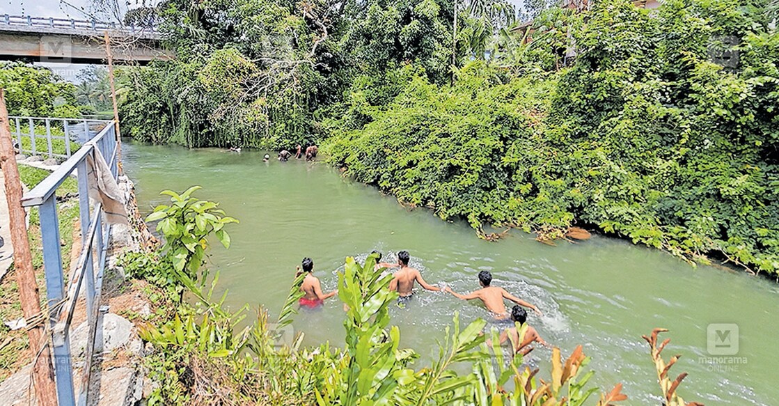ചെറുപൊയ്ക തോടിന്റെ തീരമിടിയുന്നു; വീടുകൾക്കു ഭീഷണി | Puthoor ...