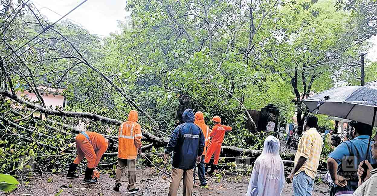 കനത്ത മഴ, ഭീതിയോടെ നാട്, എങ്ങും ദുരിതപ്പെയ്ത്ത് | Chavara floods ...