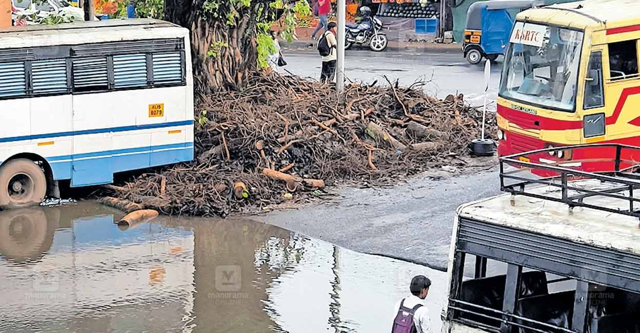 മതിയായ ക്രമീകരണമില്ല; കെഎസ്ആർടിസി ബസ് സ്റ്റാൻഡിൽ അപകട സാധ്യതയേറെ ...
