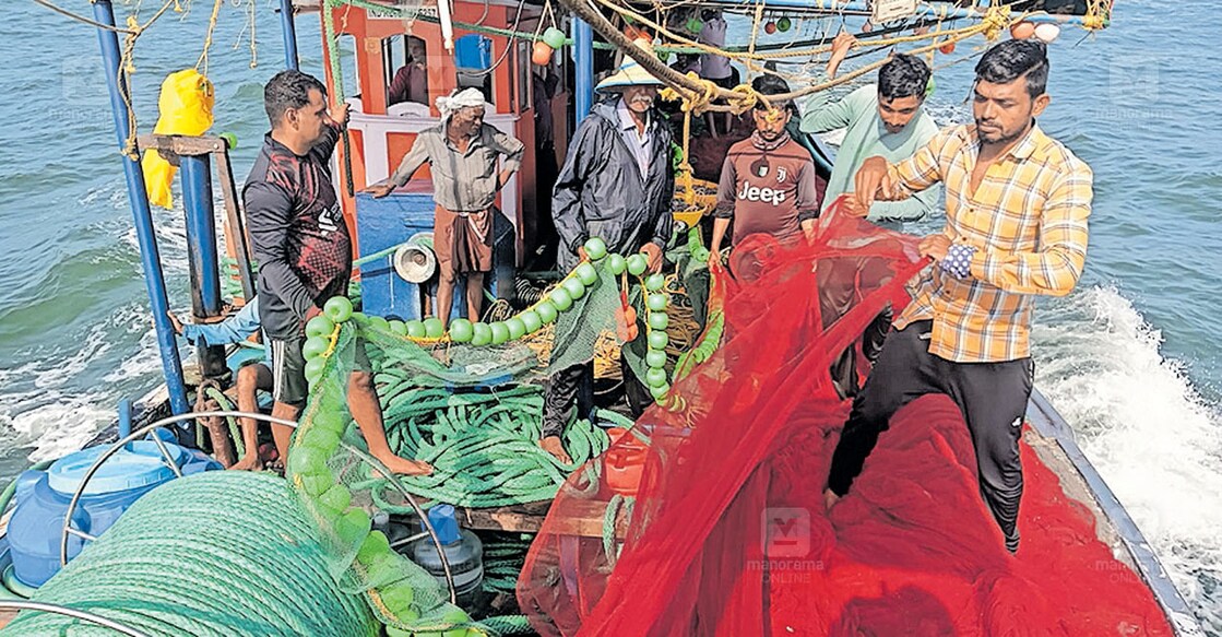 കണ്ടെയ്നറുകളുടെ അവശിഷ്ടങ്ങൾ കയറി വീണ്ടും വല നശിച്ചു; 18 ലക്ഷം രൂപയുടെ ...