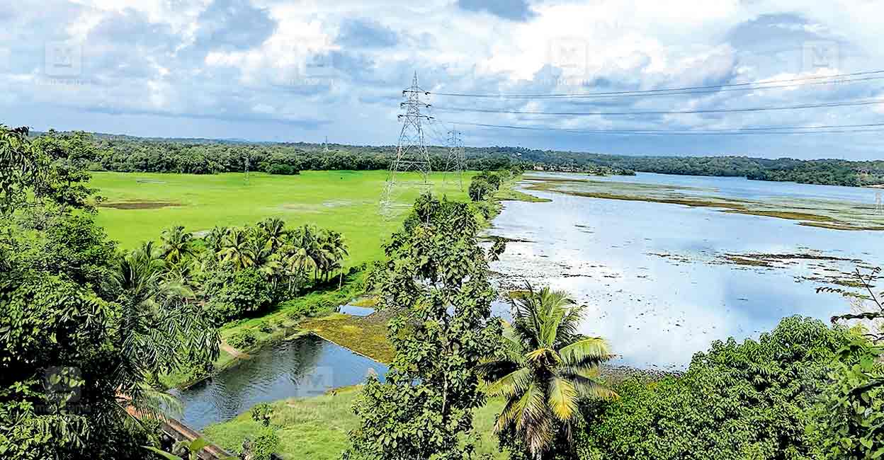 ചിറ്റുമല ചിറ ടൂറിസം മുന്നിൽ കണ്ട് കിഴക്കേ കല്ലട; വലിയ പദ്ധതിക ...