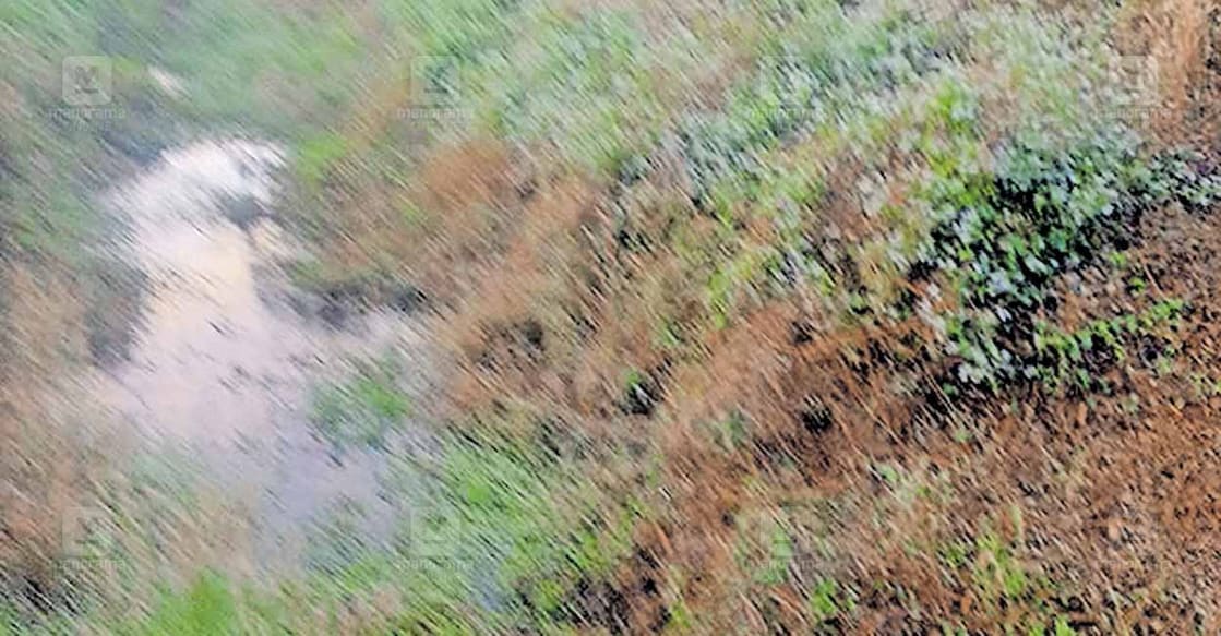 ശുചീകരണം നടന്നിട്ട് 5 വർഷങ്ങൾ; മന്ത്രിക്കു നിവേദനം | Kottarakkara KIP ...