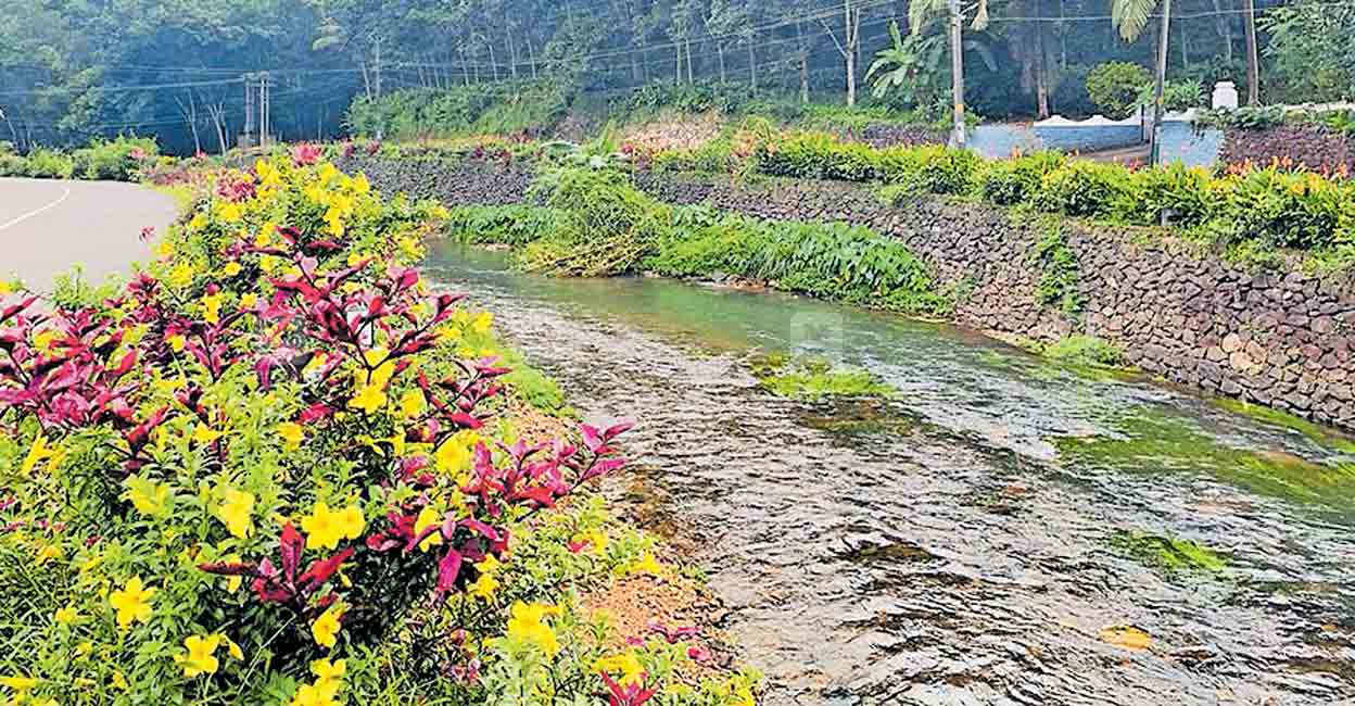 മനോഹാരിത ചാർത്തി ചെടികളും പുഷ്പങ്ങളും; ചാത്തൻപാറ ഗ്രാമീണ ടൂറിസം ...