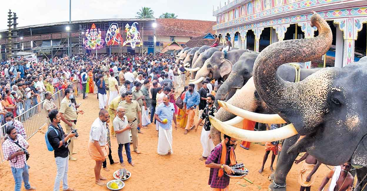 വൈക്കത്ത് കേമം ഗജവിരുന്ന്; ഗജപൂജയും ആനയൂട്ടും കാണാൻ ആയിരങ്ങൾ | Vaikom ...